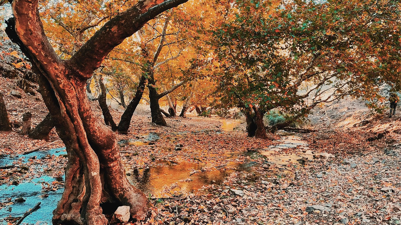 أفضل أماكن سياحية في العراق خلال الخريف | اكتشف الجمال بين الجبال ...