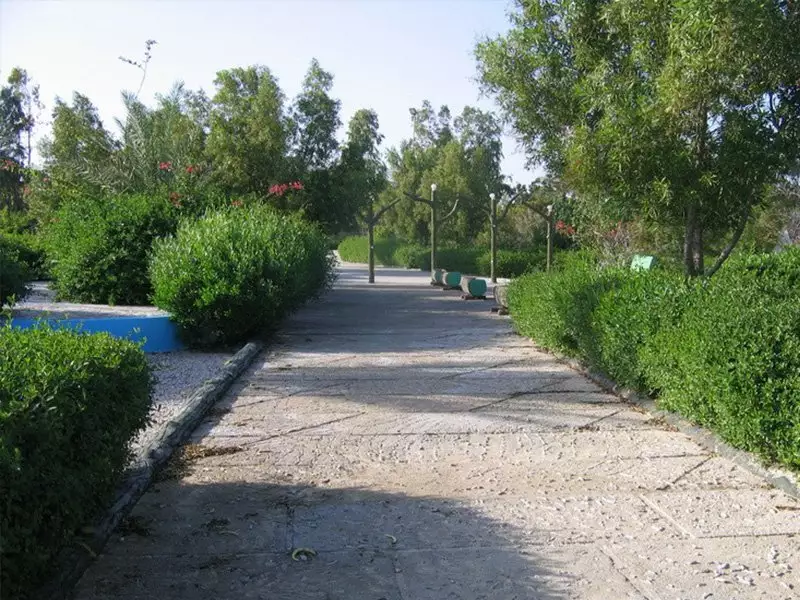 Simorgh Kish | سندباد